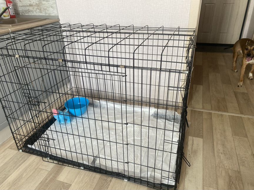 Вольер для собак