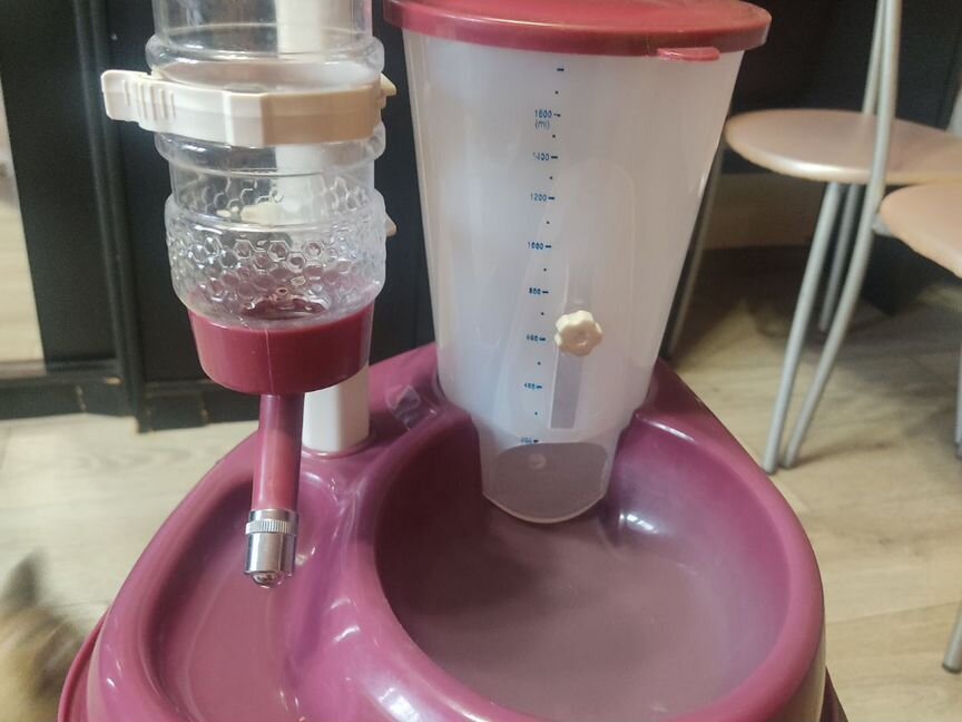 Кошачья кормилка-поилка