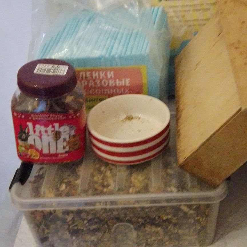 Все для морской свинки