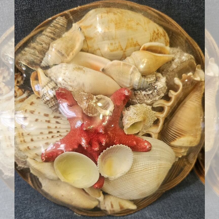 Новый большой набор ракушек для аквариума