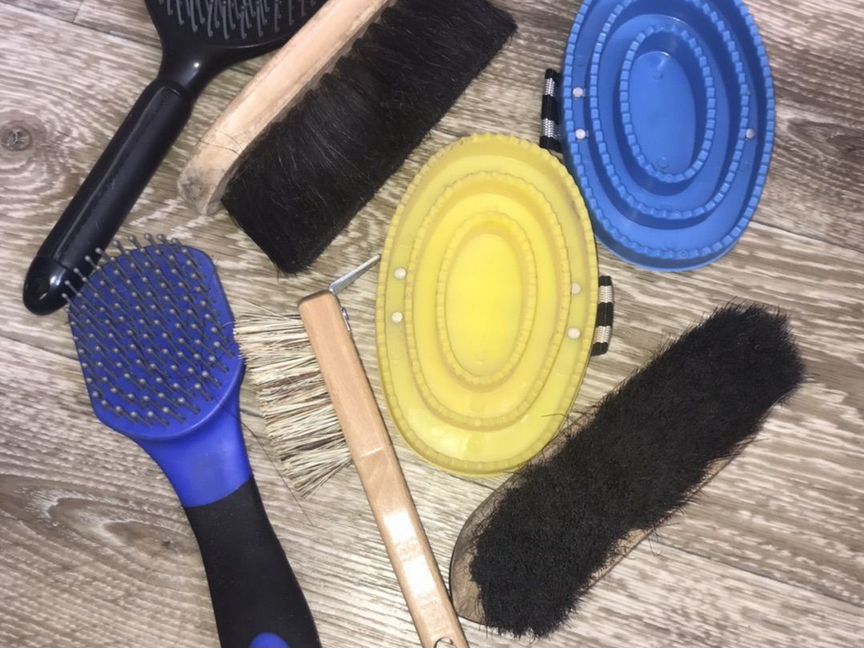 Набор щеток для лошади