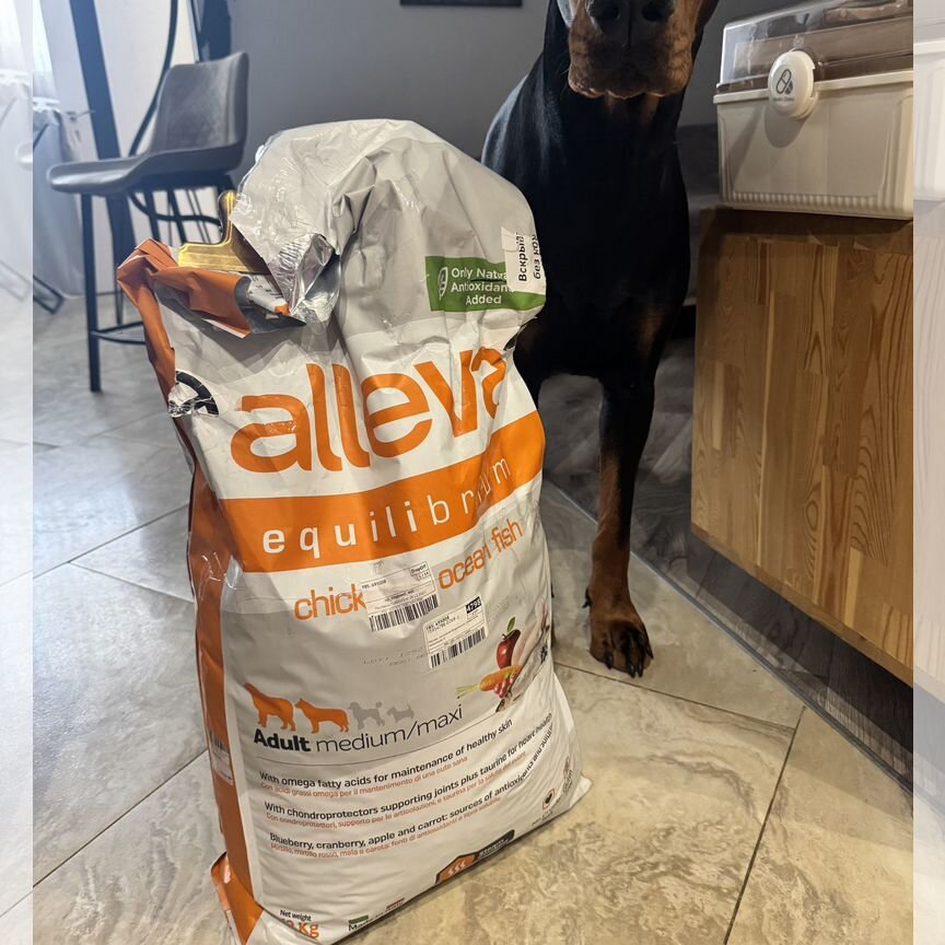 Корм для крупных собак Alleva