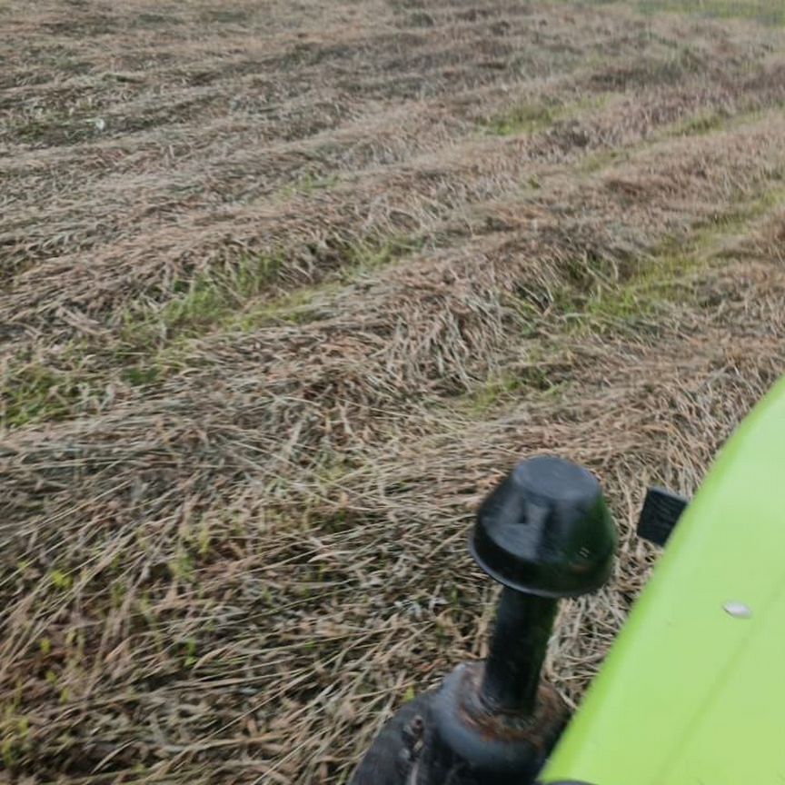 Продам сено в рулонах