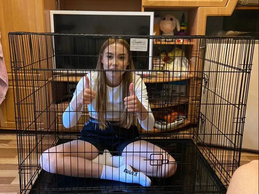 Клетка для собак усиленная №5