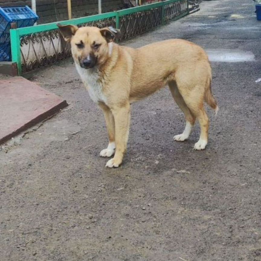 Не кому не нужна