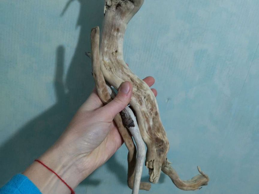 Коряги для ваших ящерок