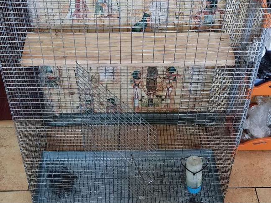 Клетка для питомцев