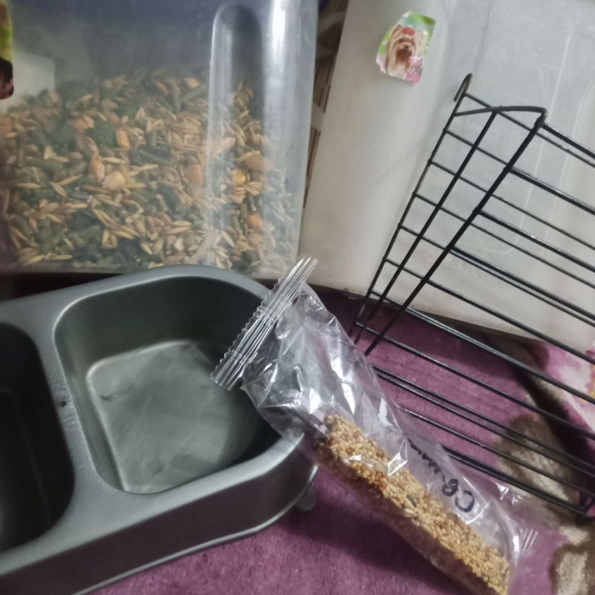 Для грызунов