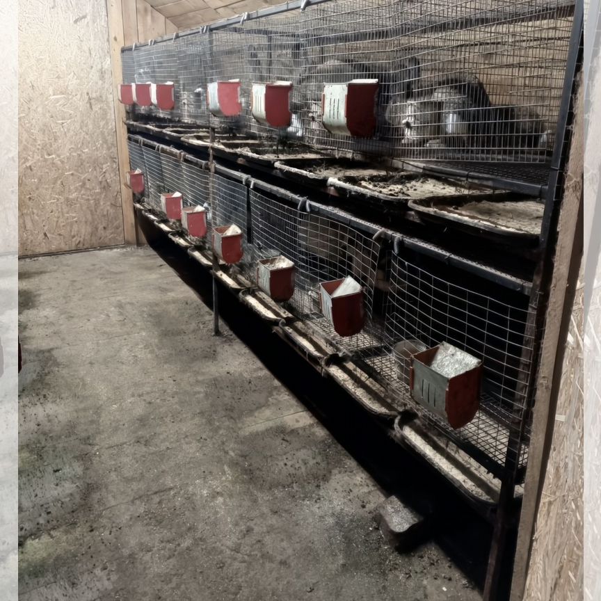 Клетка для кролика