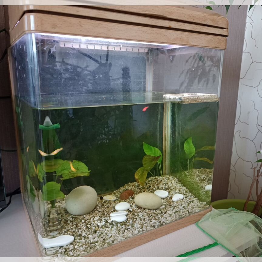 Аквариум