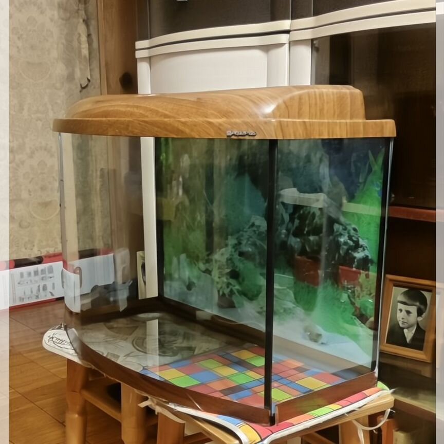 Аквариум