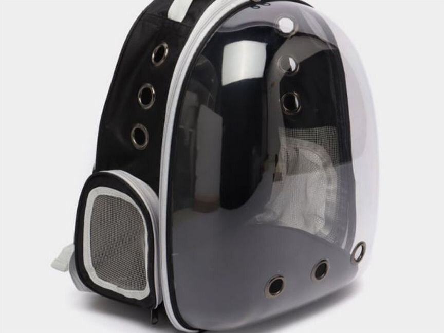 Аренда переноски для кошки