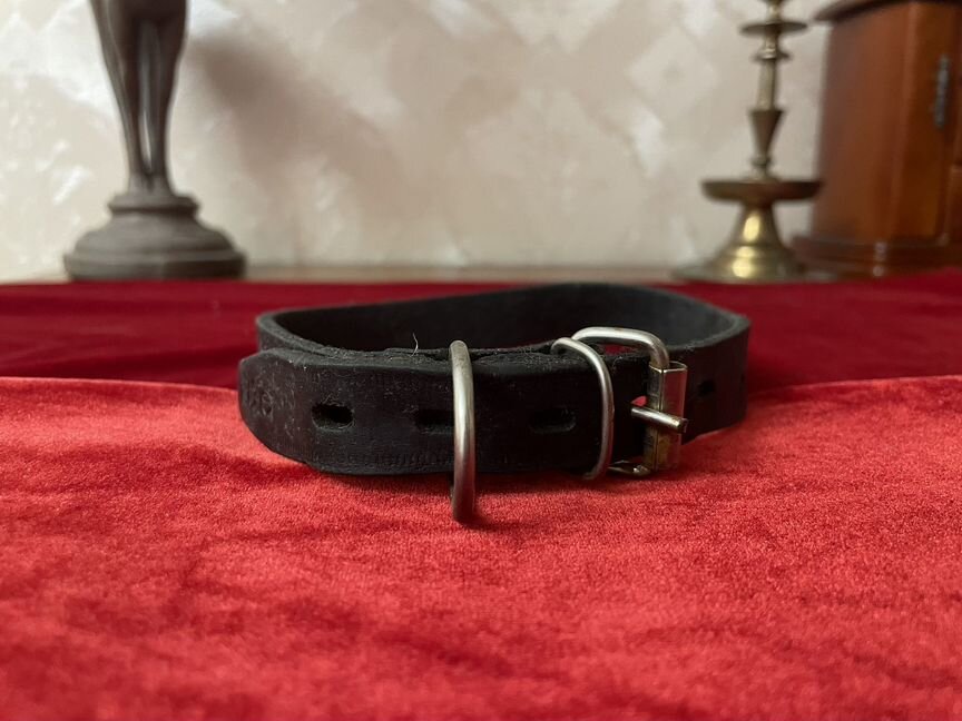 Ошейник для собак