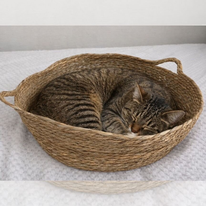 Плетёная лежанка для кошек и собак новая