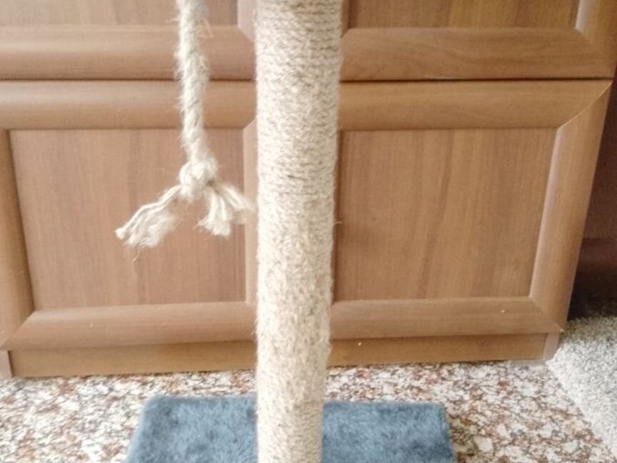 Когтеточка