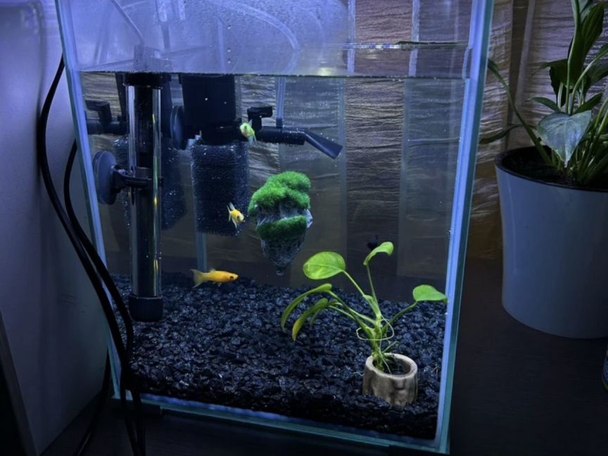 Аквариум aquael 19л