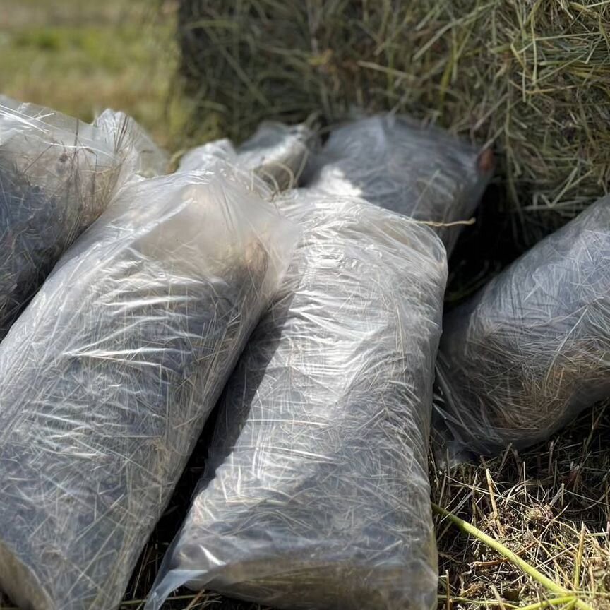 Продам сено в рулонах