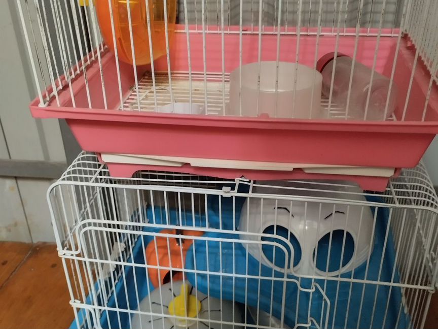 Клетки для грызунов