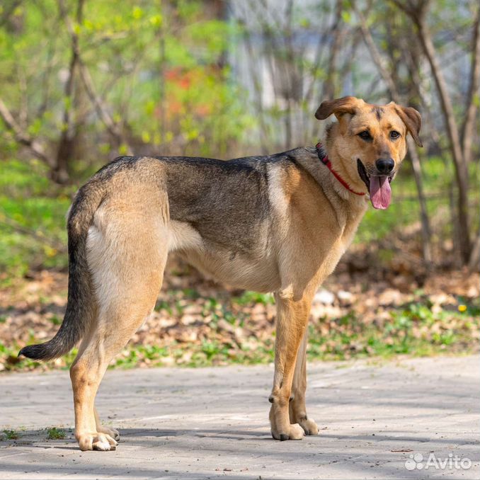 Тучка ищет дом