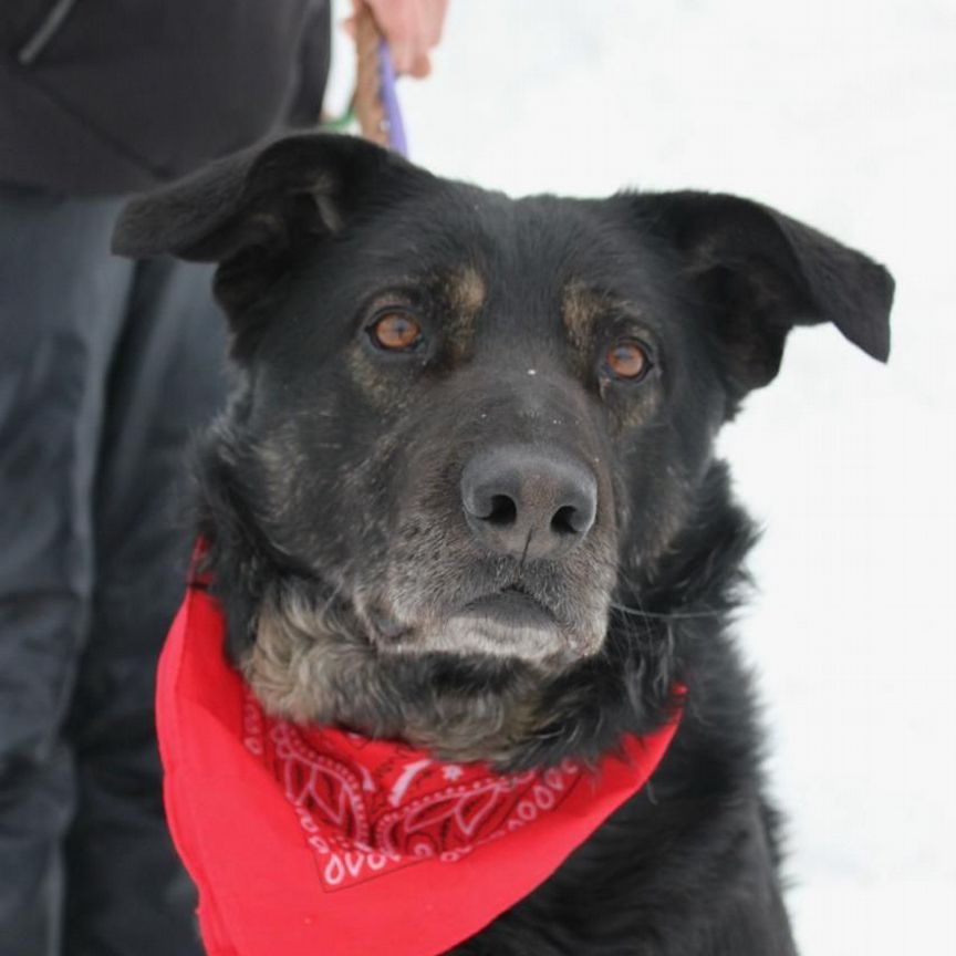 Фрай ждет своего человека