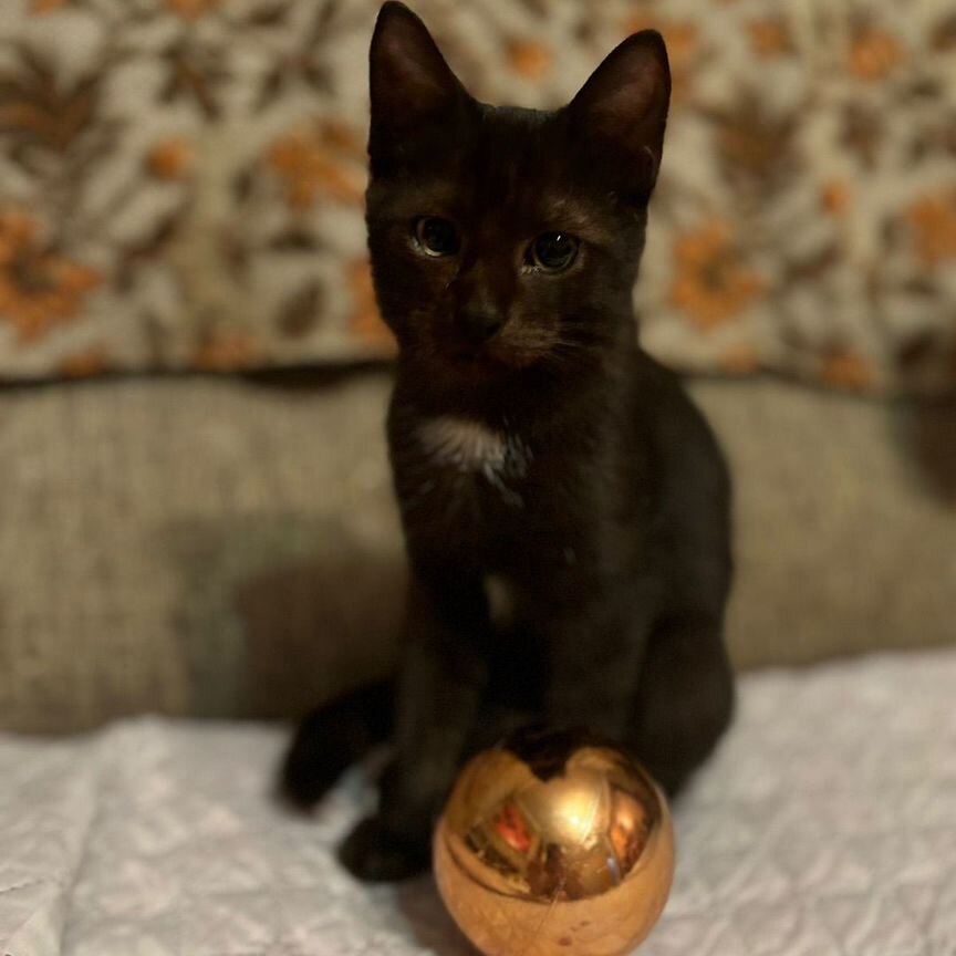 Красавчики ждут своих родителей