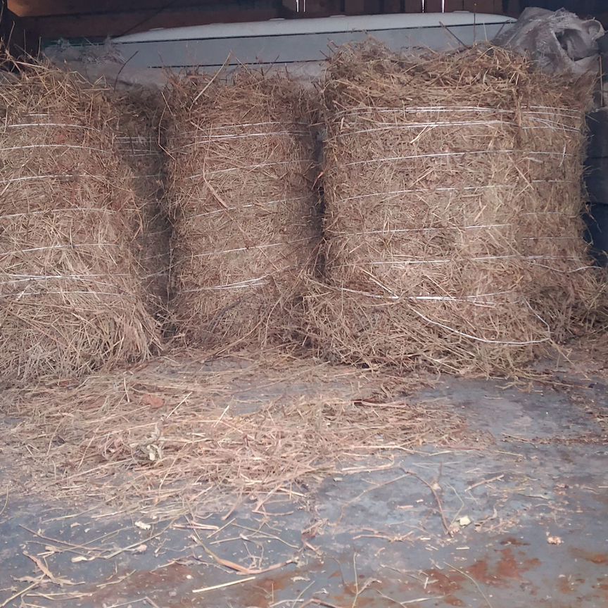 Сено в. Мини рулонах вес от 15 до 20 кг