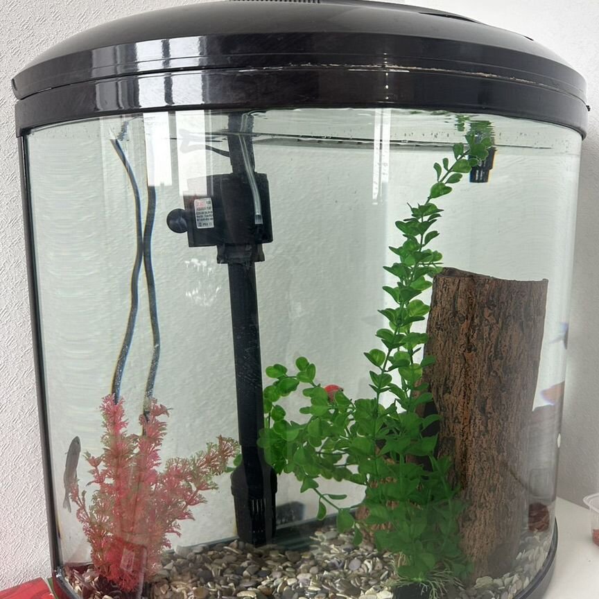 Аквариум jebo760
