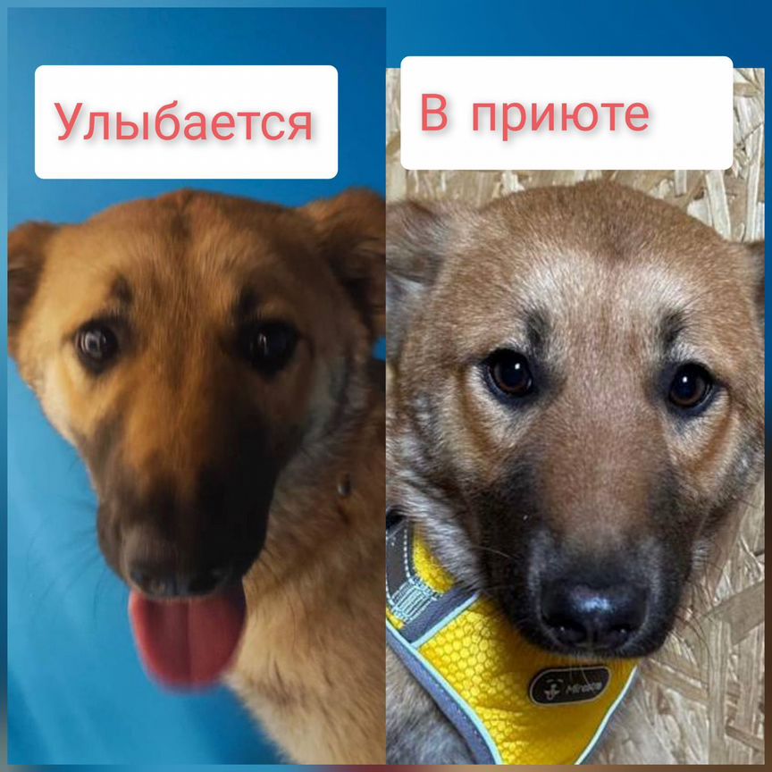 Будет ли счастливое завтра или она сгинет в приюте