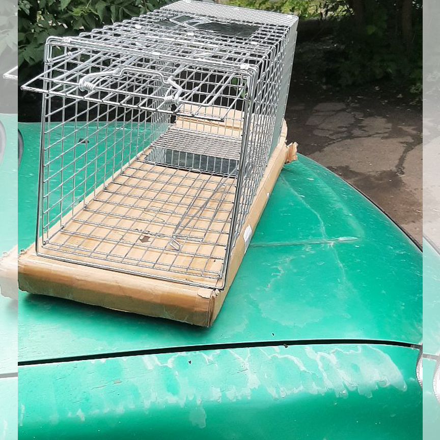 Ловышка для лис котов собак и прочеи живнасти