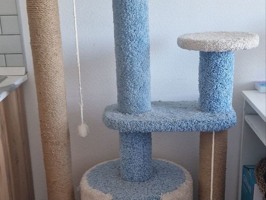 Домик для кошки с когтеточкой бу