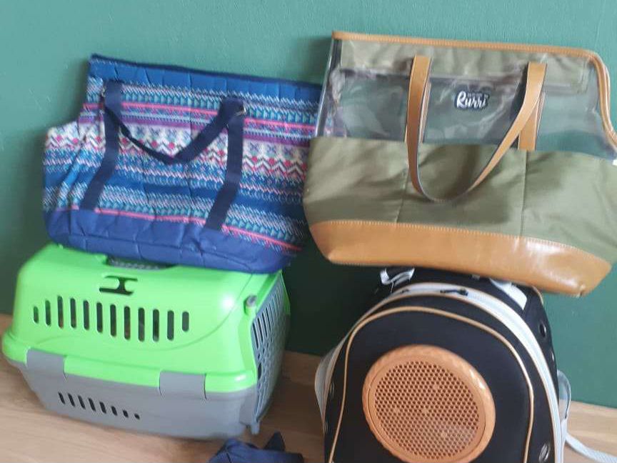 Переноски для животных Рюкзак Сумки