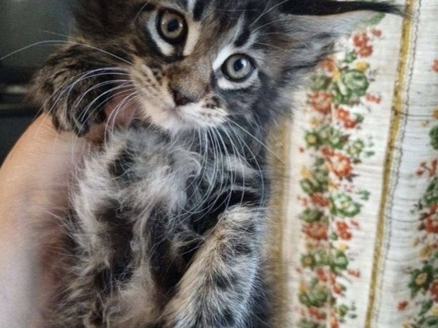 Великолепные антидепрессанты