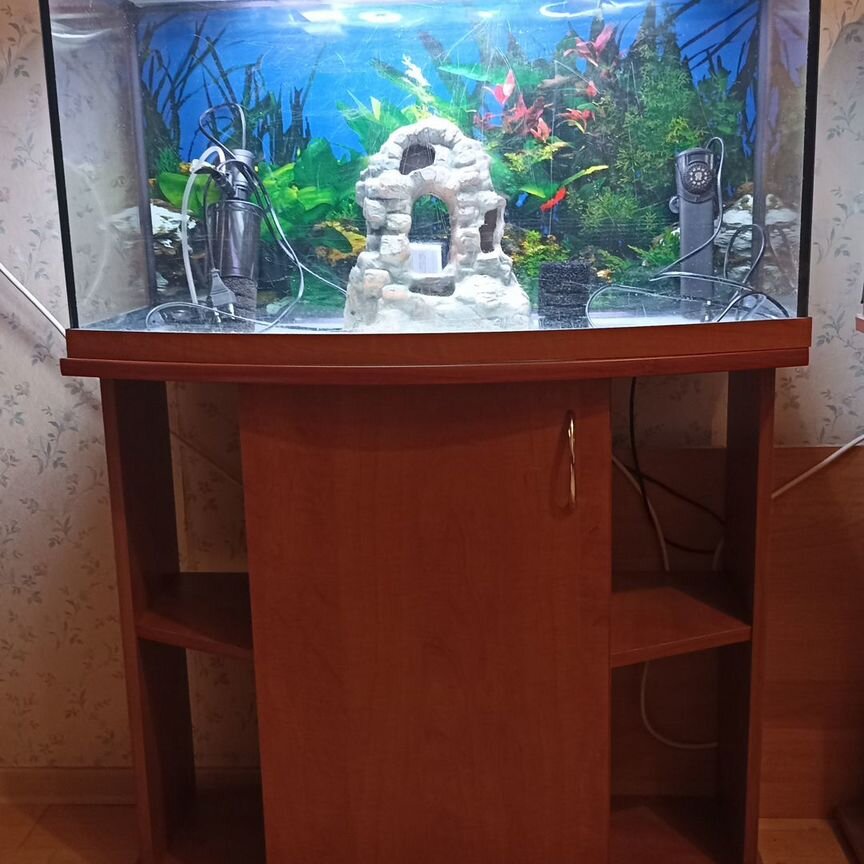 Аквариум Aquael 100л с тумбой