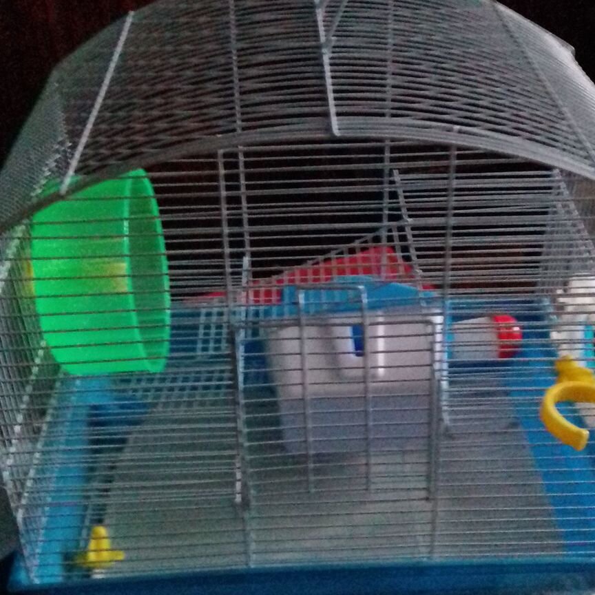 Клетка для грызунов пластиковая