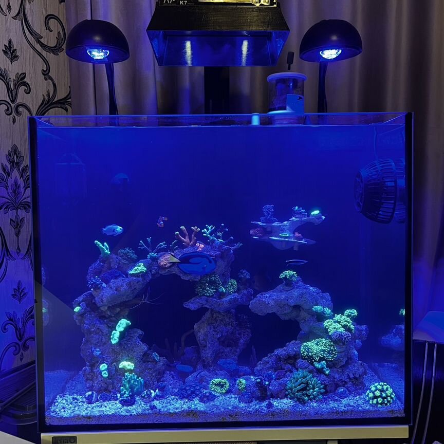 Морской аквариум 120 литров