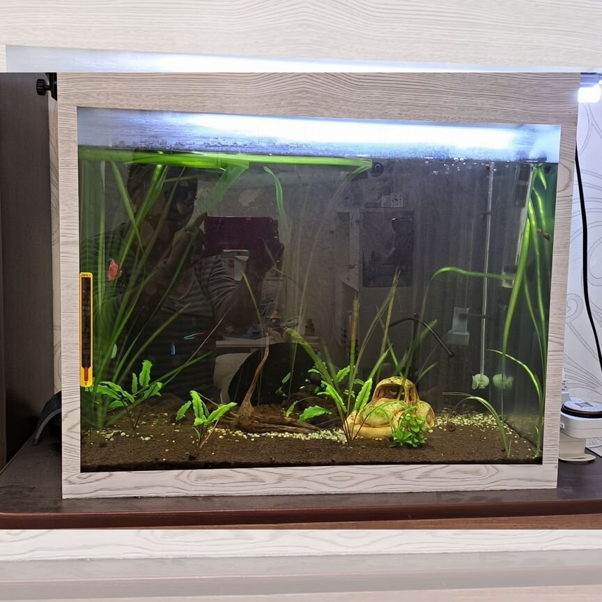 Аквариум 100л с фильтром