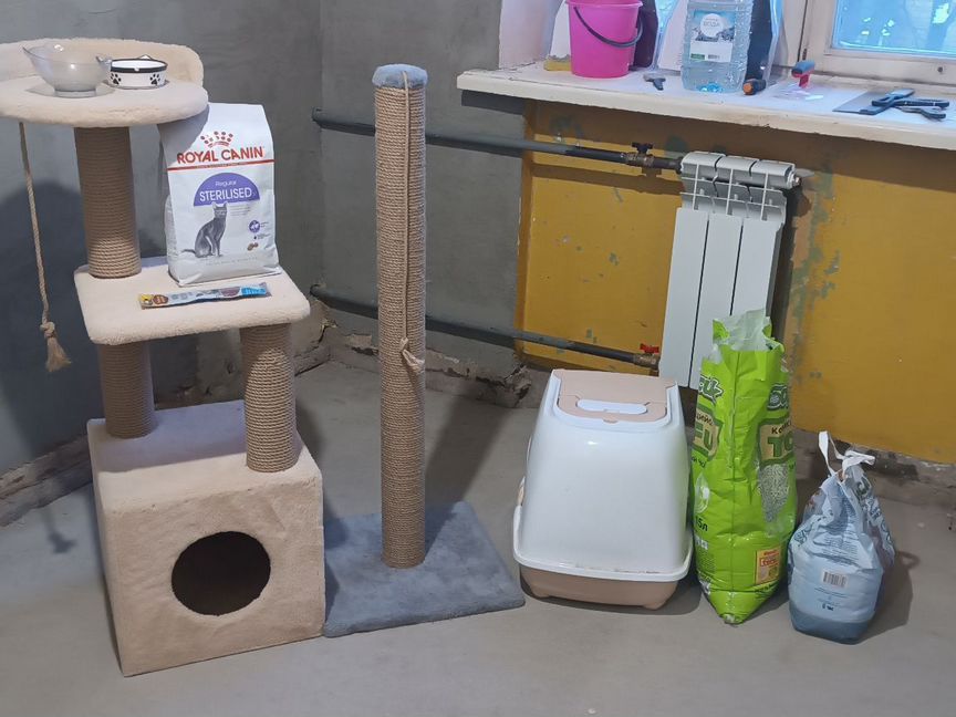 Домик, горшок для кошки