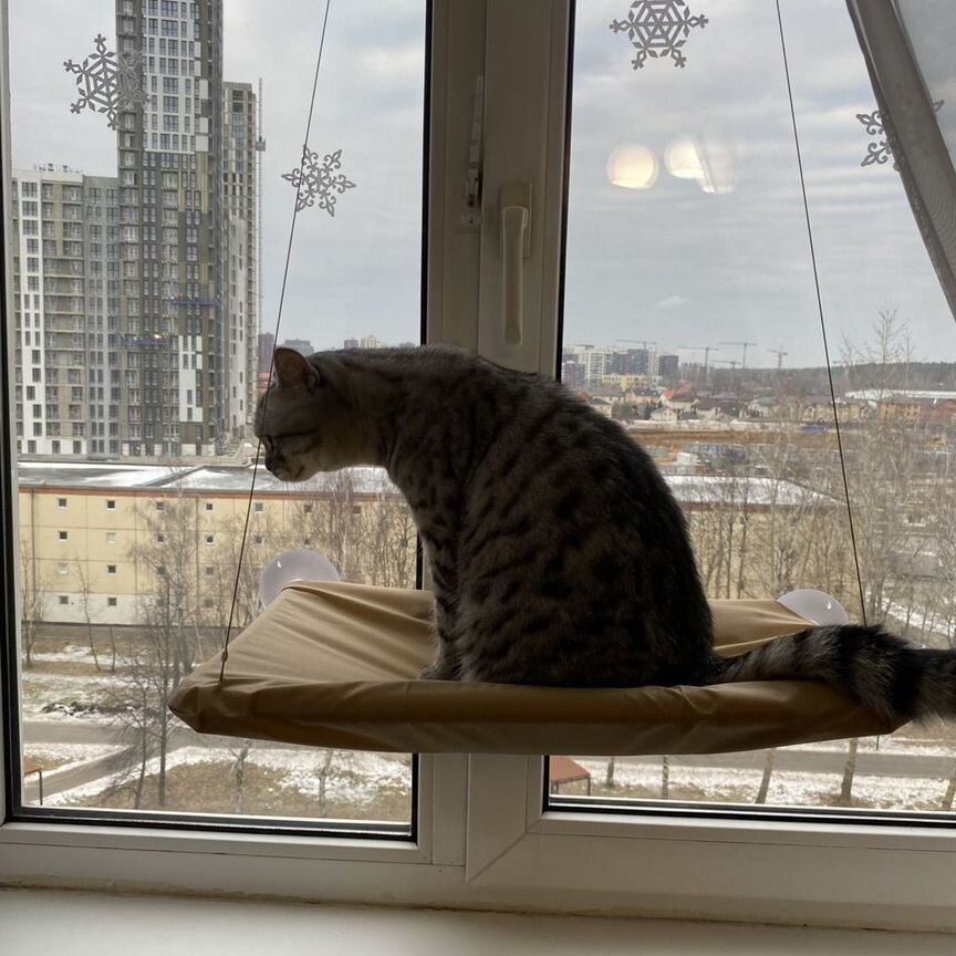 Гамак для кошек на окно