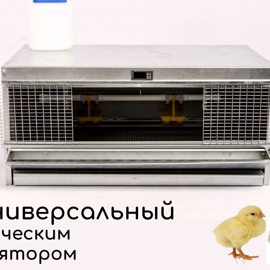 Брудер для цыплят Самара