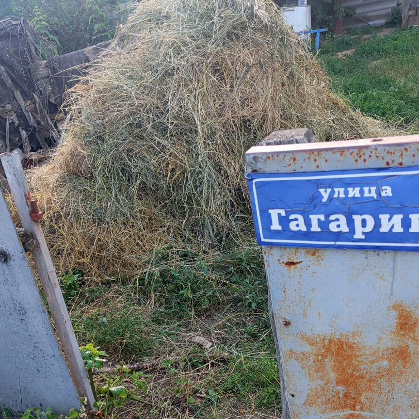Продам сено в валках