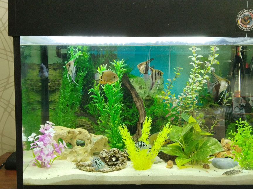 Аквариум 175 литров