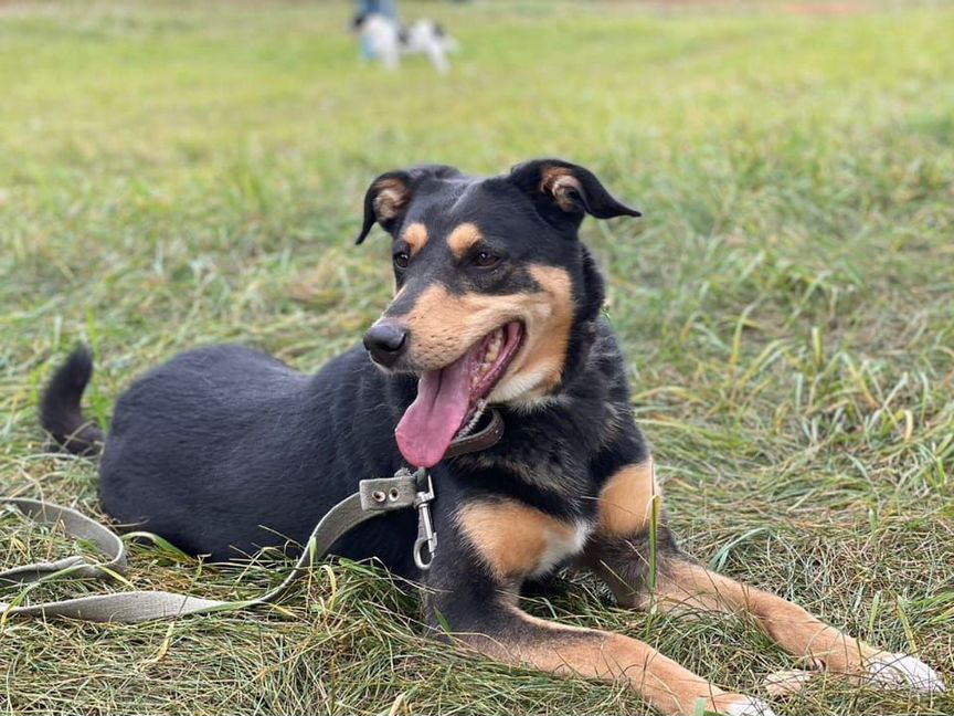 Залечите шрамы в душе Гретты