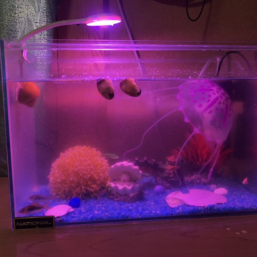 Продам аквариум 16 литров