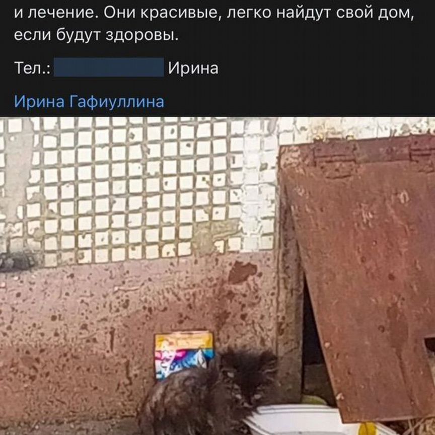 Нижекамск Нужна помощь