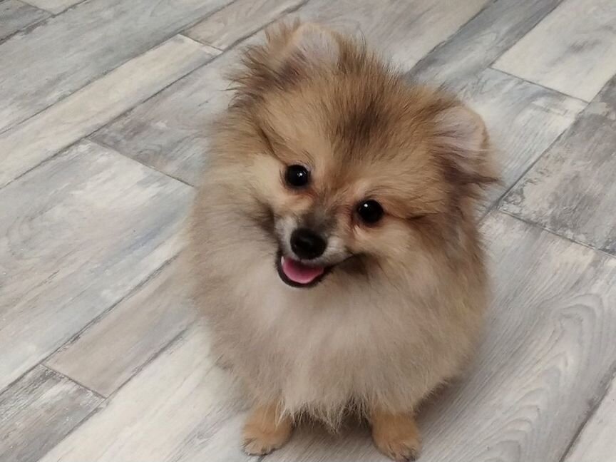 Мальчишка очаровашка