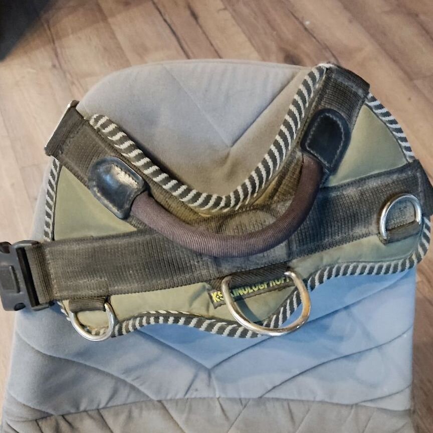 Шлейка для зкс