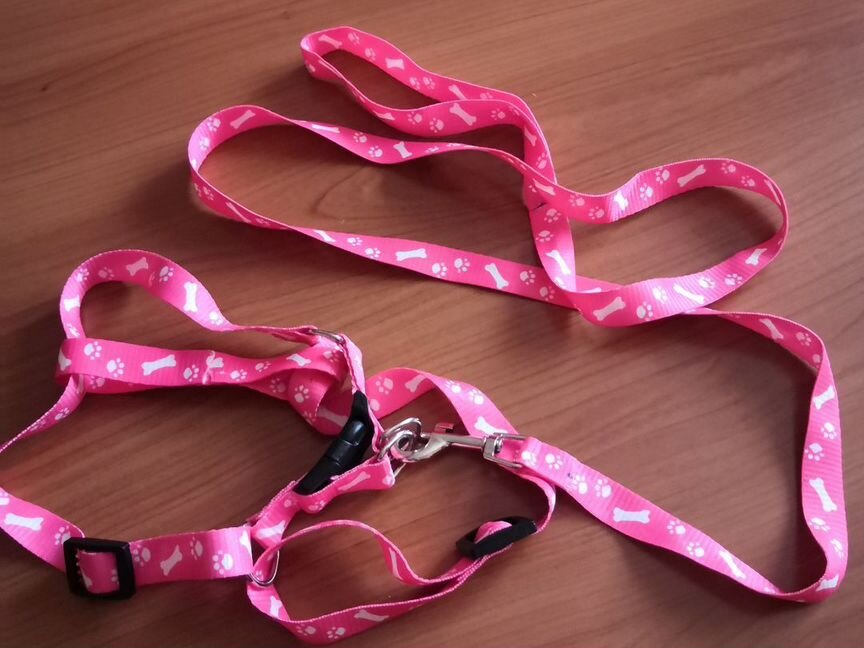 Поводок для животных