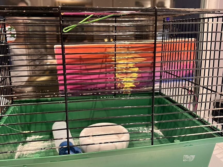 Клетка для хомяка