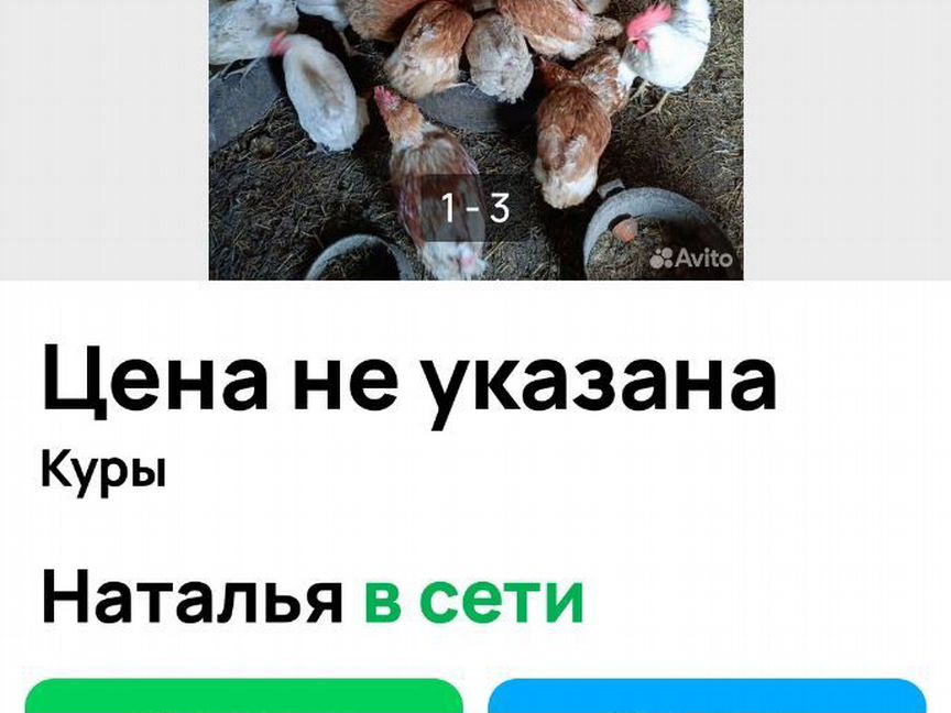 Продаю кур несушек
