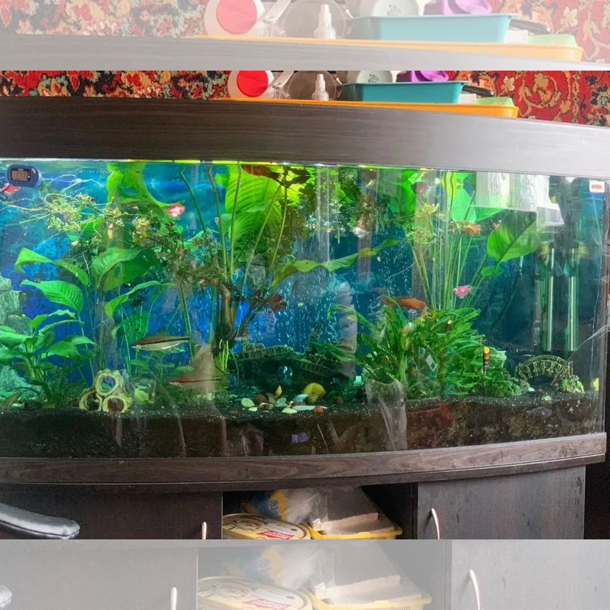 Аквариум 350л